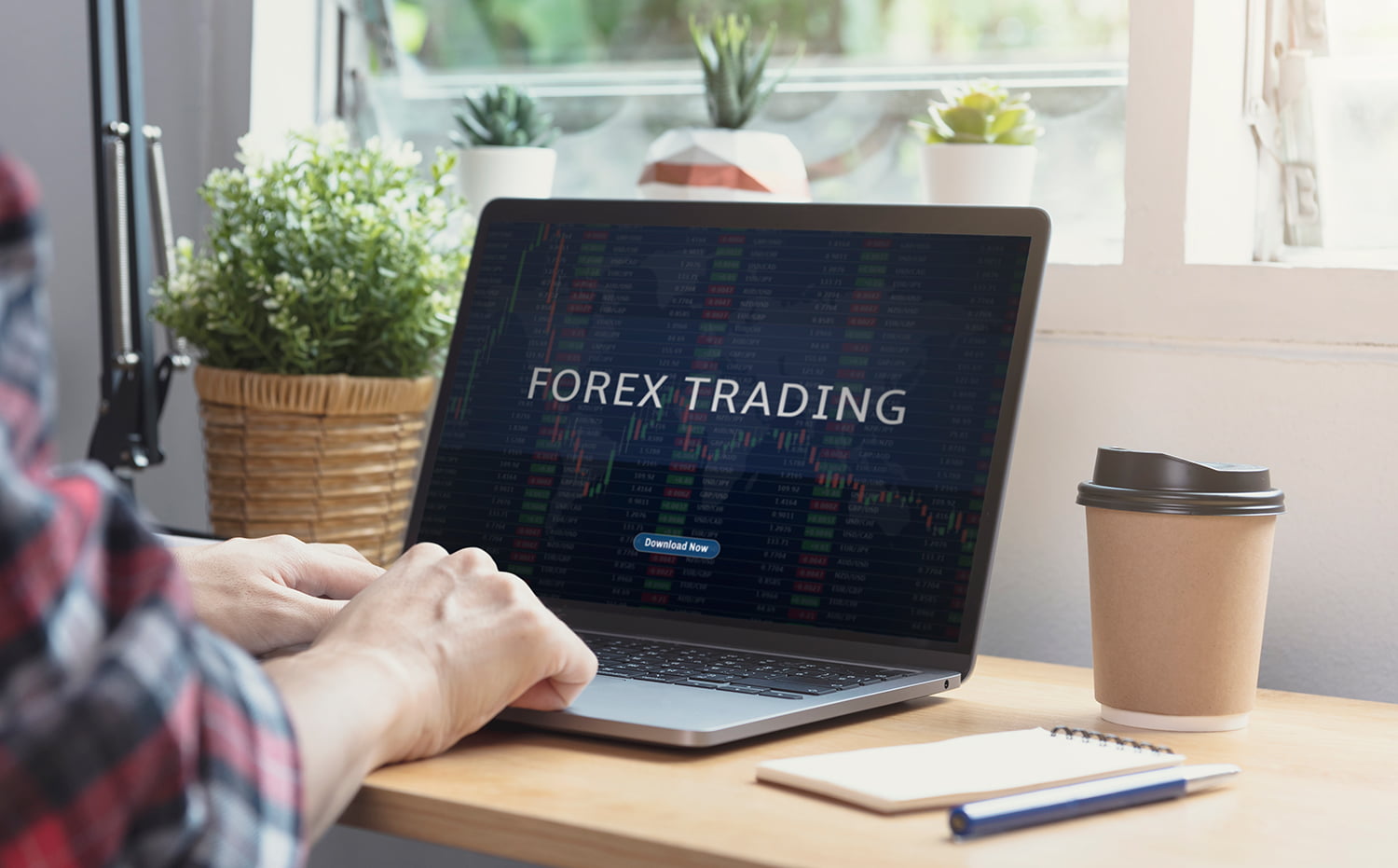7 Best Forex Trading Tools